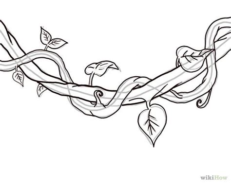 A Drawing Of A Vine With Leaves On It