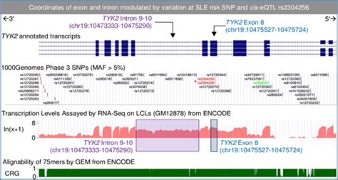 Profiling Rna Seq At Multiple Resolutions Markedly Increases The Number Of Causal Eqtls Rna