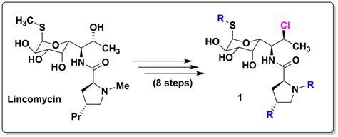 Overcoming Challenges Of Lincomycin Derivative Scale Up Sigutlabs