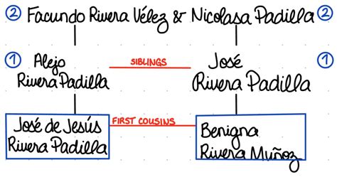 Three Layers Of Consanguinity Boricuagenes