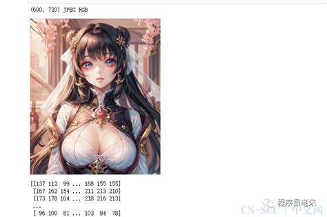 数据科学初学者必知的python第三方库numpy Cn Sec 中文网