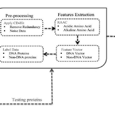 Proposed Framework For Prediction Of Dbps And Non Dbps Download