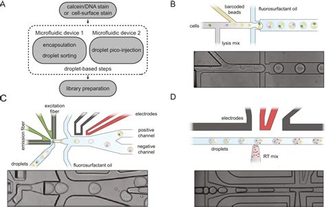 Microfluidic Innovations For Single Cell Rna Analysis