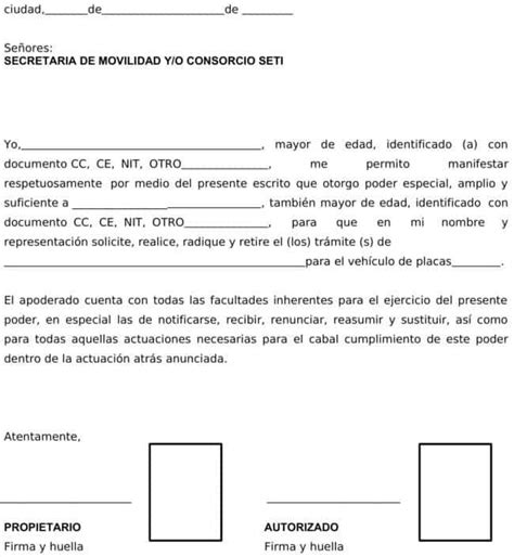 Carta De Poder De Un Vehiculo Fiador