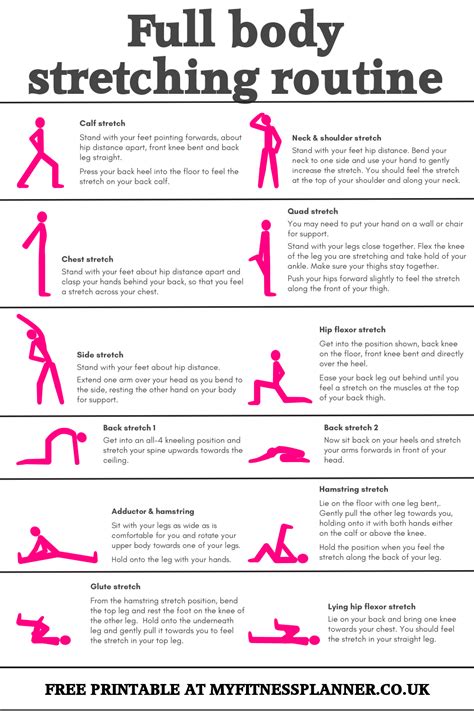Stretching Exercises Pdf Free Download For Full Body Flexibility Artofit
