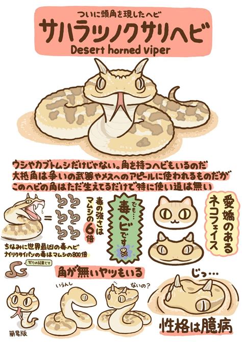 高橋のぞむ ゆるかわ古生物図鑑発売 T marohiko on X 動物 図鑑 珍しい動物 図鑑