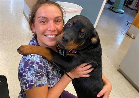 Ani Mall Pet Hospital Middletown Veterinary Hospital