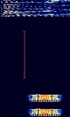 Emergency Alert System EAS Signal Identification Wiki