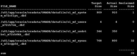 reduce a datafile in oracle 1 simple script