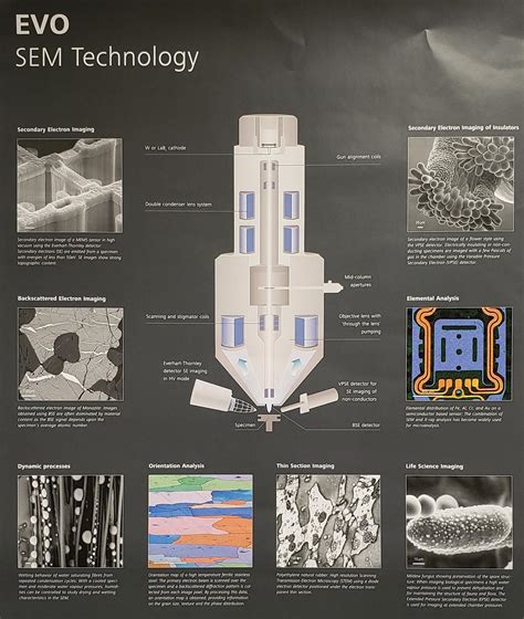 Best Microscope Images On Pholder Interestingasfuck Micro Porn And Oddlyterrifying