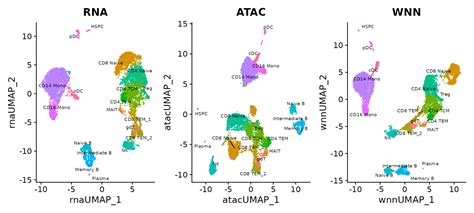 Weighted Nearest Neighbor Analysis • Seurat