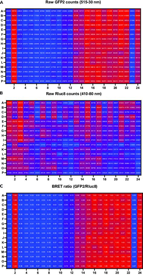 Example Data From An Agonist Mode Concentration Response Curve Pairing