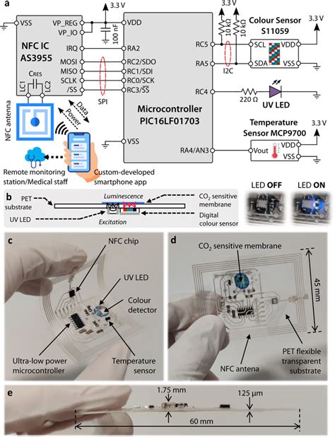 Nfc Flexible Tag Design A Circuit Block Diagram Of The Developed Nfc Download Scientific