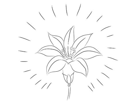 Цветик семицветик Раскраски Татуировка с цветком Цветок лотоса татуировки