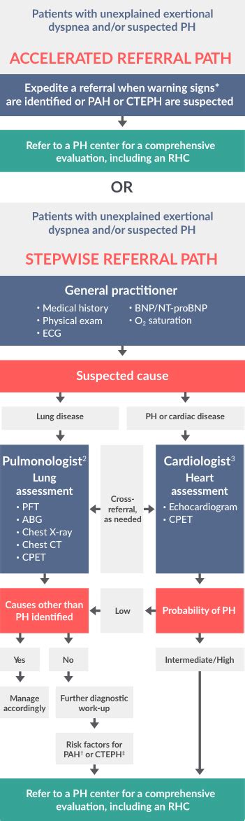 Diagnose Pah Screen Pah Chd