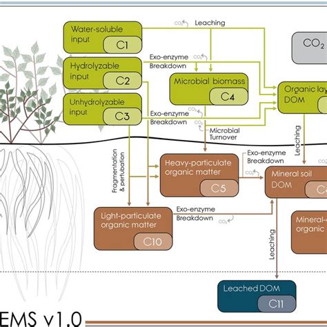 Conceptual Model Diagram Of Mems V1 0 See Table 1 For Detailed Download Scientific Diagram