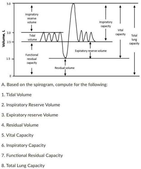 Solved 5 0 4 Inspiratory Reserve Volume Inspiratory Capacity Vital Capacity 3 0 Tidal Volume