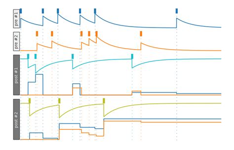 Learning Through Spike Timing Dependent Plasticity Stdp — Building