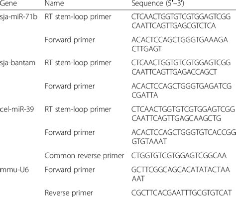 Sequences Of Primers Used For Qrt Pcr Download Table