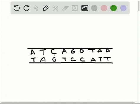 SOLVED Describe The Structure And Complementary Base Pairing Of Numerade