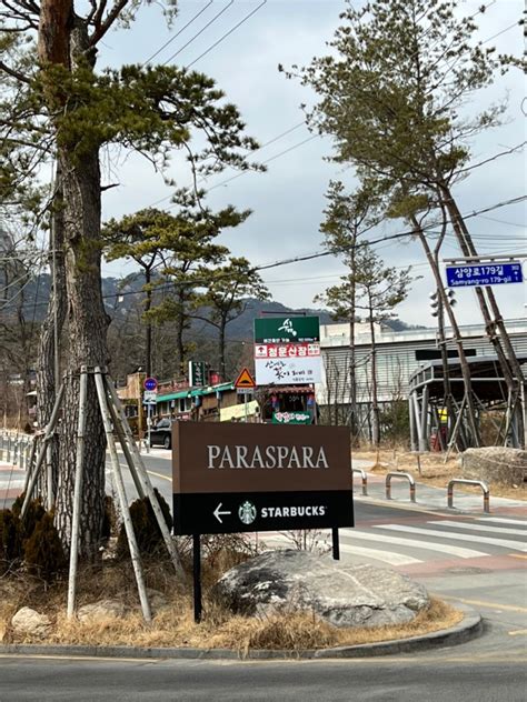 서울 시내에서 즐기는 숲뷰 호캉스 파라스파라 서울 캐빈 룸 후기 네이버 블로그