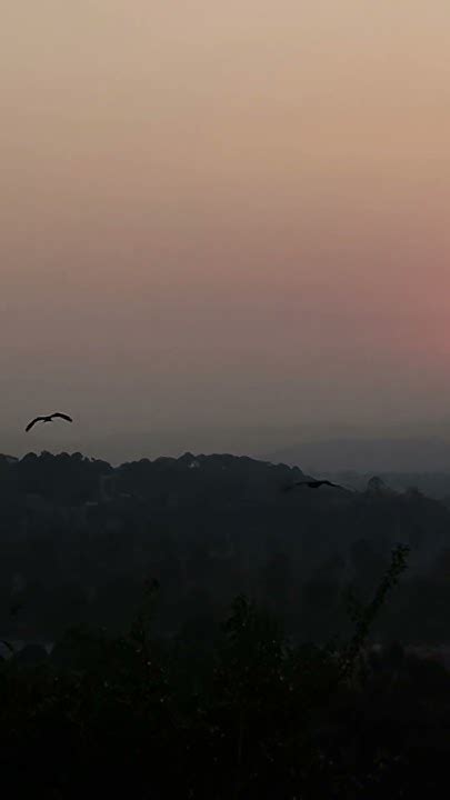 Shorts Ytshorts Youtubeshorts Shortvideo Short Uttarakhand Uk Kashmir Rajasthan Views