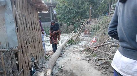 গাছের নিচে চাপা পড়ে শিশুর মৃত্যু