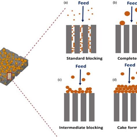 Superior Properties Of Polymeric And Inorganic Membranes And Download Scientific Diagram