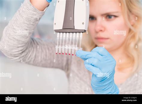 Babe Using Multichannel Pipette Stock Photo Alamy