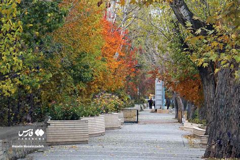 آخرین خبر عکس رخت پاییزی در اردبیل