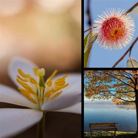 The 10 Day Nervous System Reset Challenge Bhanu Harrison Lcsw Sep