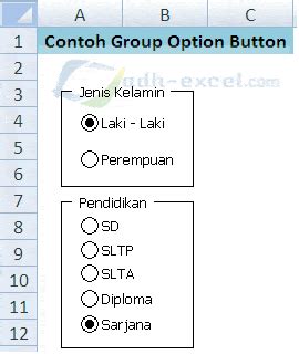 Cara Membuat Group Option Button Dalam Satu Sheet Excel Belajar Excel