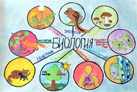 Нарисованные стенгазеты по биологии в кабинетах школ