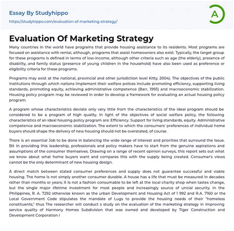 Evaluation Of Marketing Strategy Essay Example