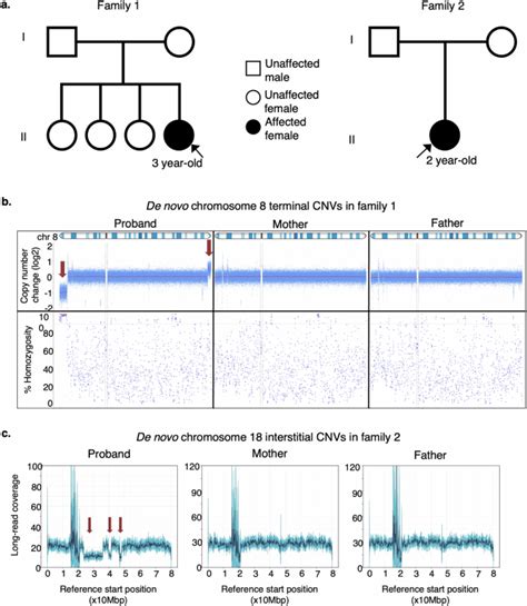 Long Read Genome Sequencing Resolves Complex Genomic Rearrangements In Rare Genetic Syndromes