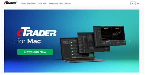Top Metatrader Alternatives For 2024 Navigating New Trading Platforms