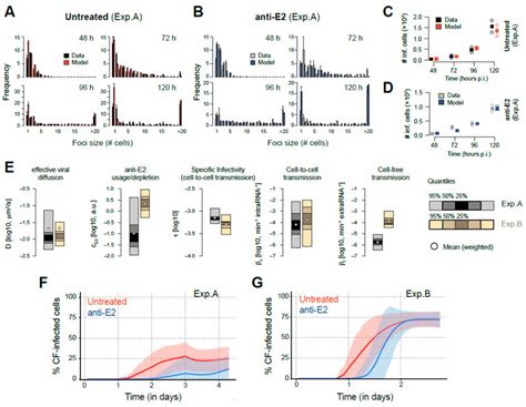 Model Fits Parameter Estimates And Relative Contribution Of Cell Free