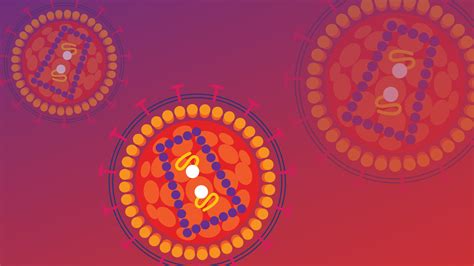 病毒学检测 — Bio Rad