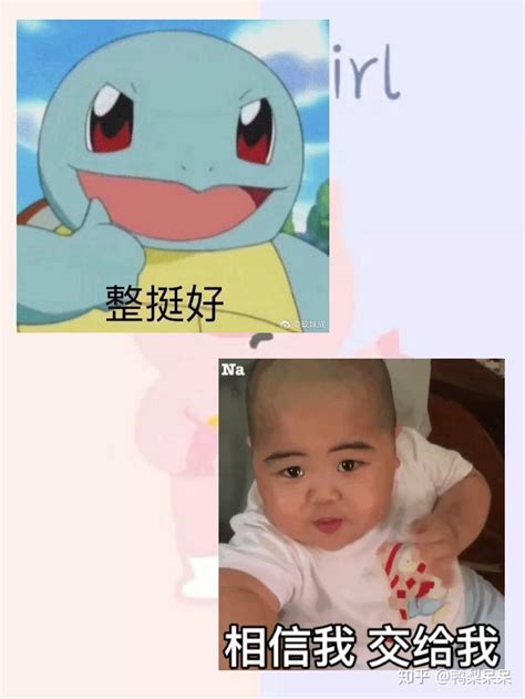 鸭梨呆呆和她的逗逼同事20191111 知乎