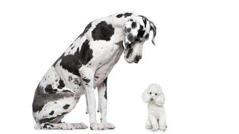 What Are Asset Classes Thinkwealth