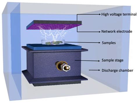 Foods Free Full Text The Effect Of Atmospheric Dielectric Barrier Discharge Cold Plasma