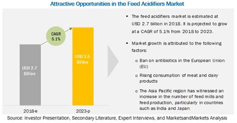 Feed Acidifiers Market Global Growth Drivers And Opportunities