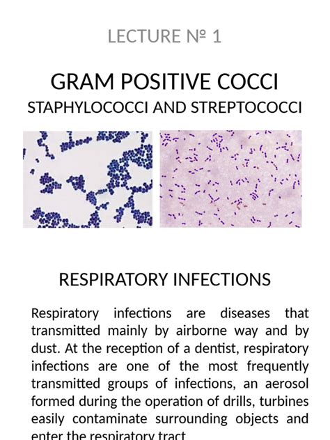 Gram Positive Cocci Pdf