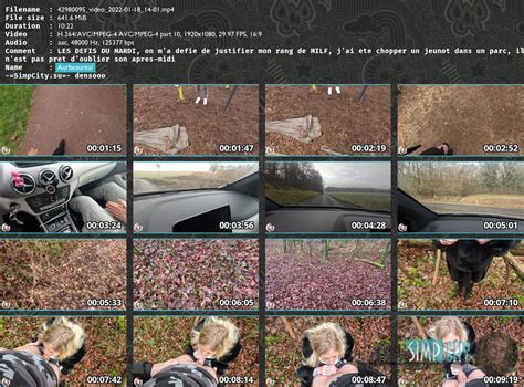 42980095 Video 2022 01 18 14 01 Hosted At Imgbb — Imgbb