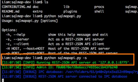Using Burp With SQLMap PortSwigger