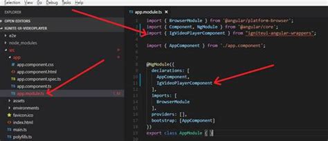 play video in angular using ignite ui video player
