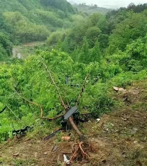 特斯拉坠崖，行车记录仪数据消失？搜狐汽车搜狐网