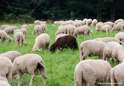 Working With Exceptions Before The Error Handler Does Visual Studio