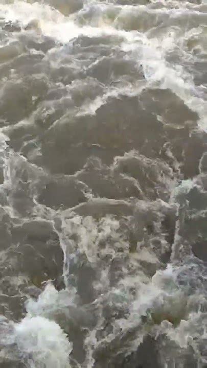 কে বলতে পারবে পানি কেন এই রকম ভয়ংকর ভাবে উঠা নামা করতেছে Shorts Shortvideo Youtube