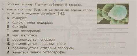 3 Розглянь світлину Підпиши зображений організм Упиши в клітинки букви якими позначено
